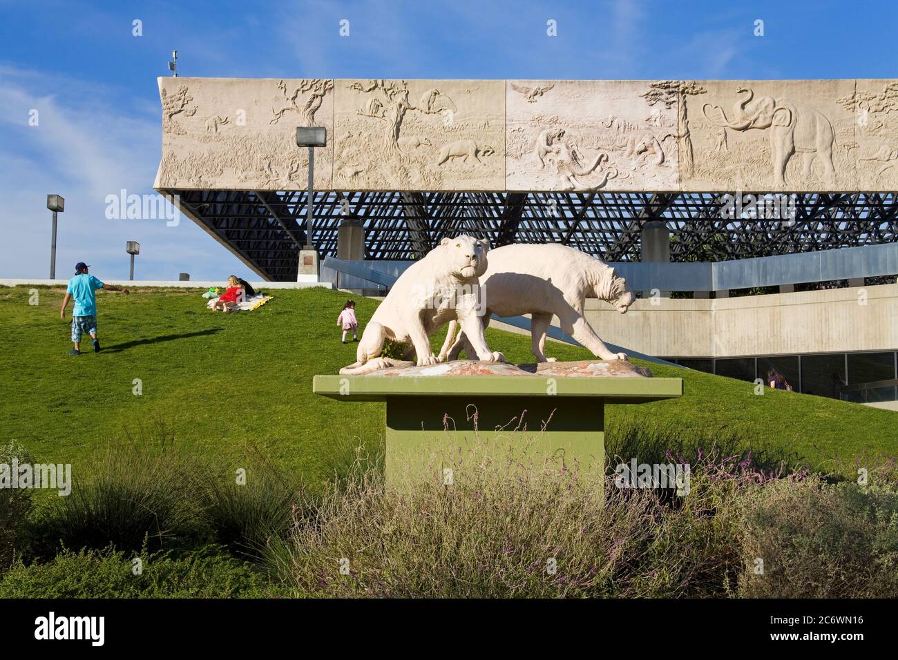 Saber-toothed Cats, George C. page Museum, Wilshire Boulevard, Los ...