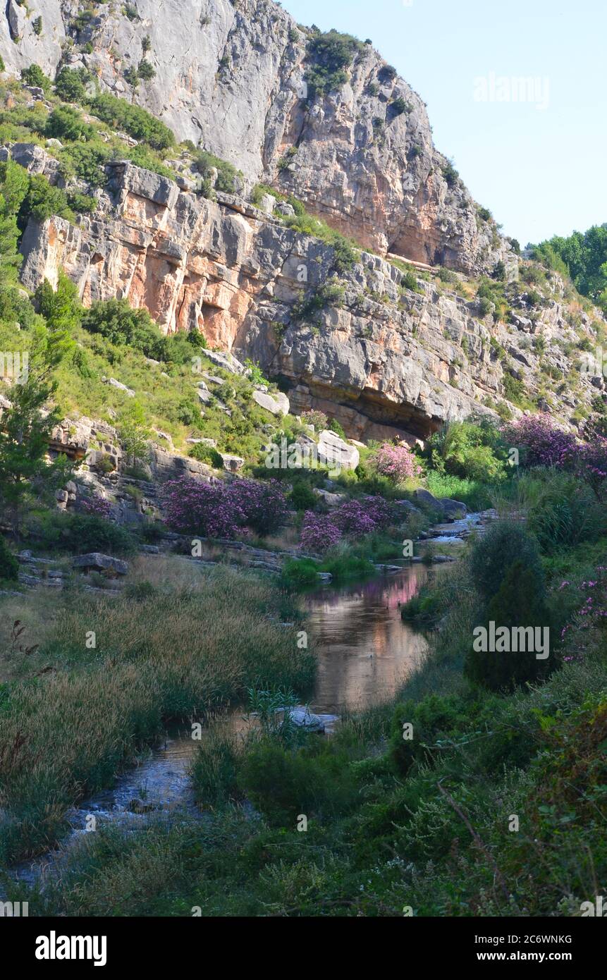 The Palancia river, an example of Mediterranean mountain river in ...