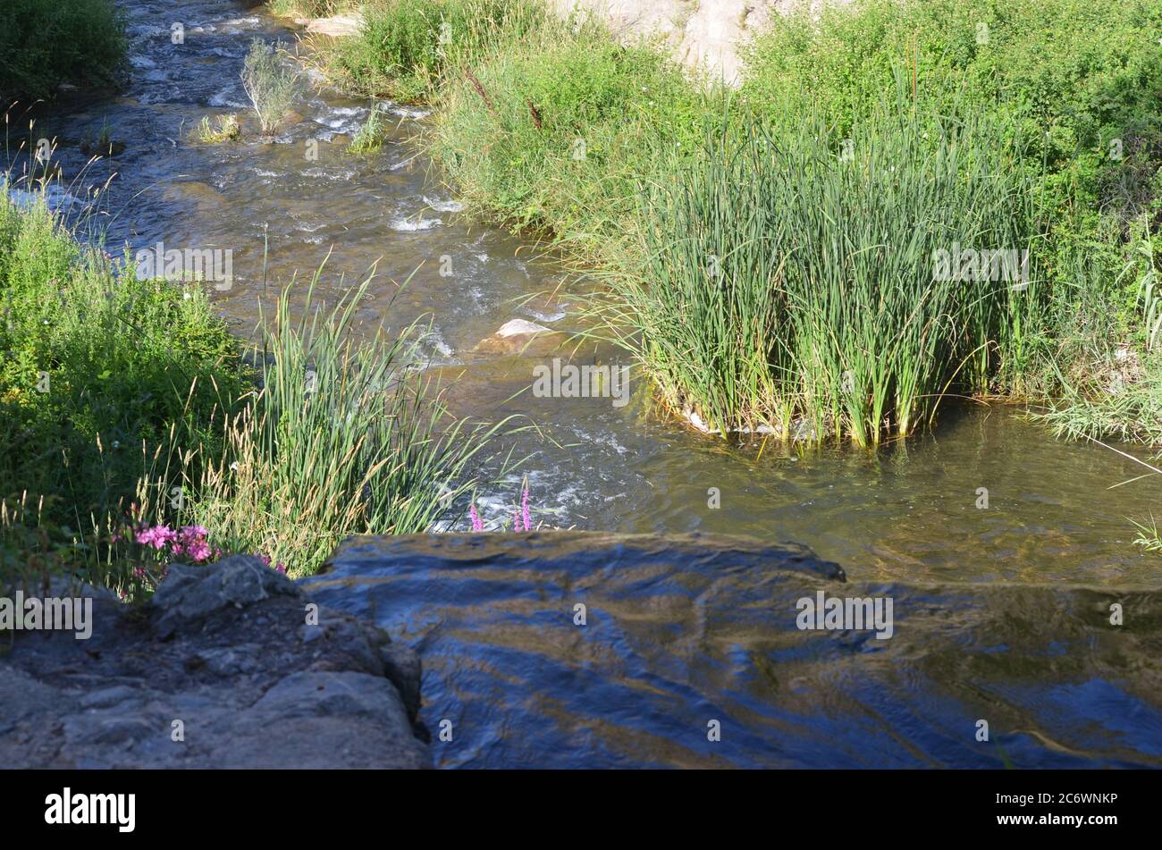 The Palancia river, an example of Mediterranean mountain river in ...