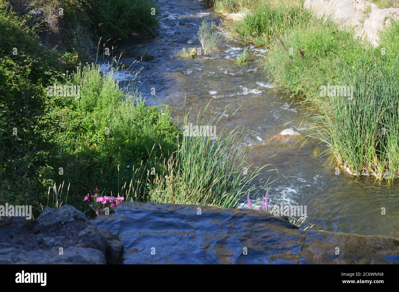 The Palancia river, an example of Mediterranean mountain river in ...