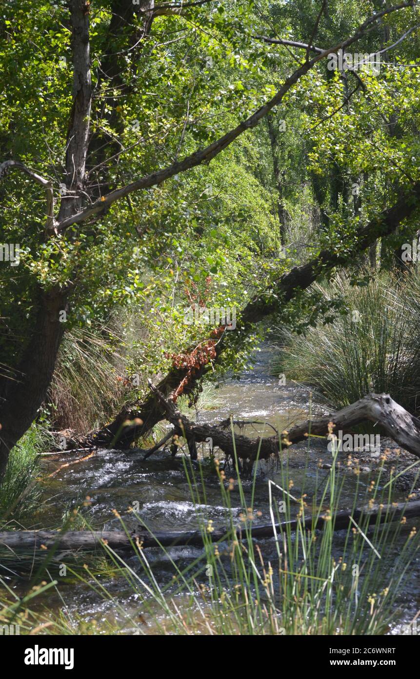 The Palancia river, an example of Mediterranean mountain river in ...