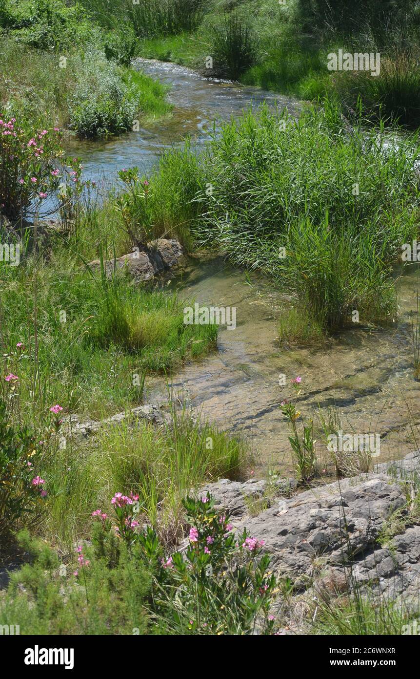 The Palancia river, an example of Mediterranean mountain river in ...