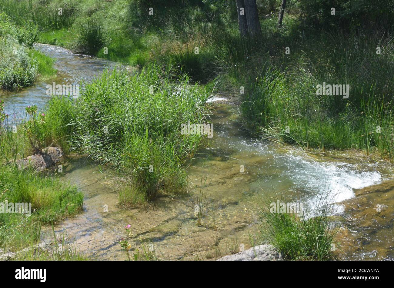 The Palancia river, an example of Mediterranean mountain river in ...