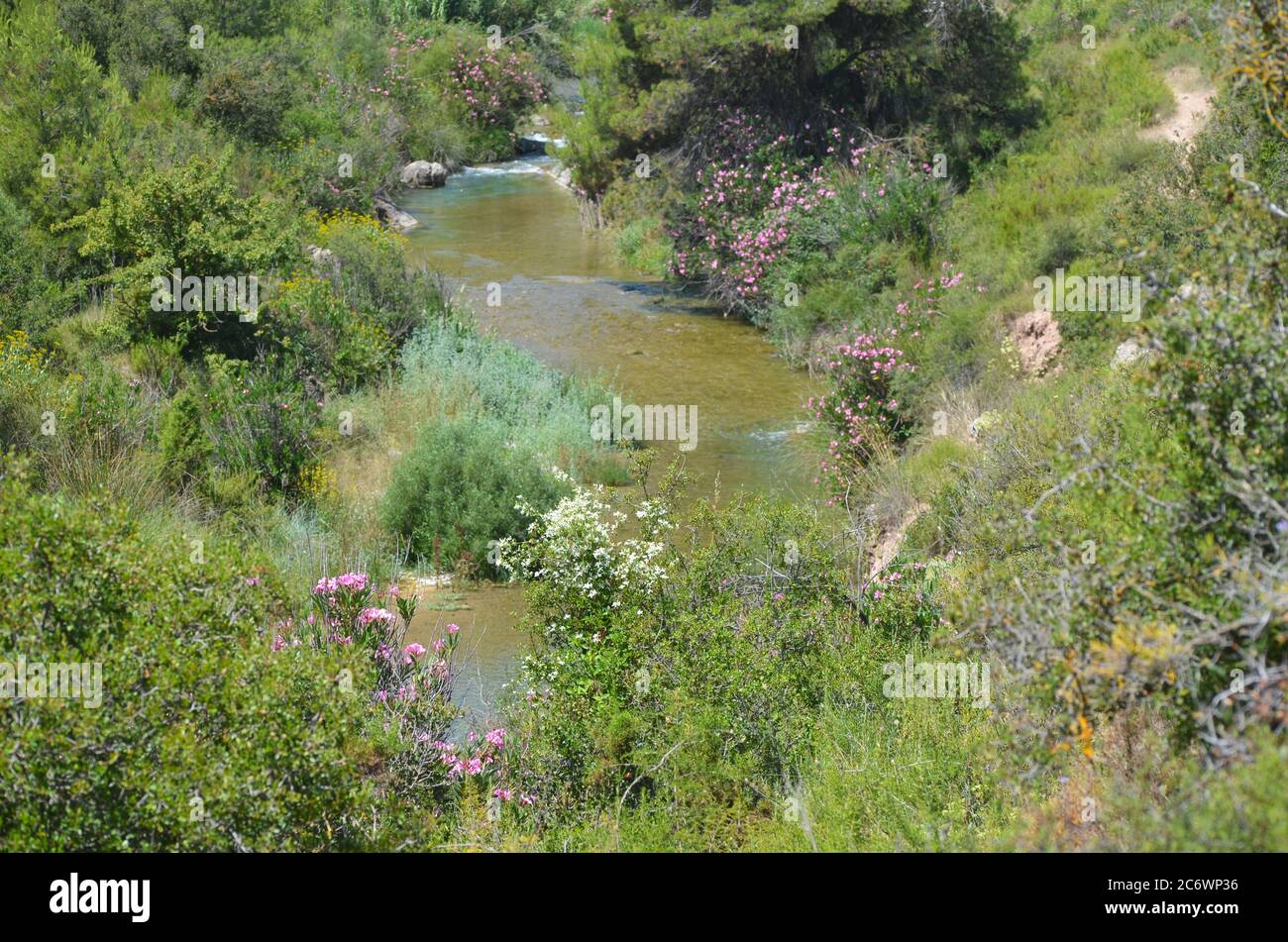 The Palancia river, an example of Mediterranean mountain river in ...