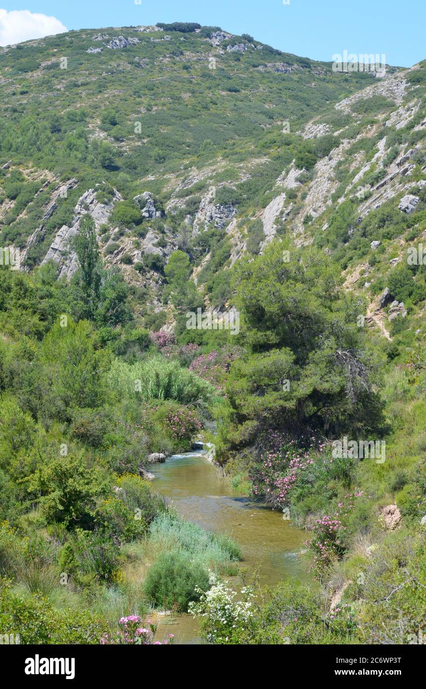 The Palancia river, an example of Mediterranean mountain river in ...