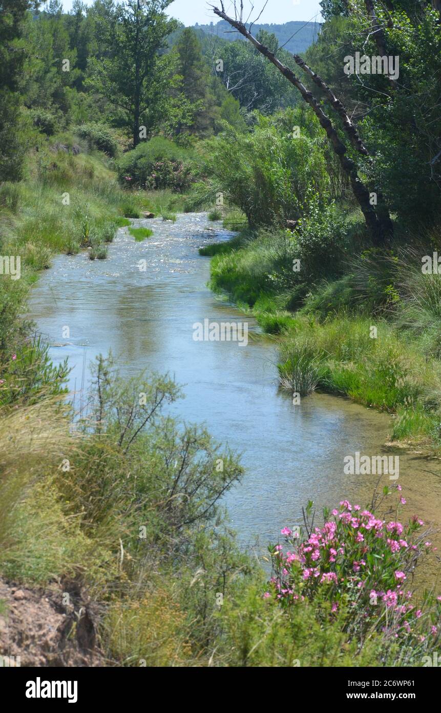 The Palancia river, an example of Mediterranean mountain river in ...