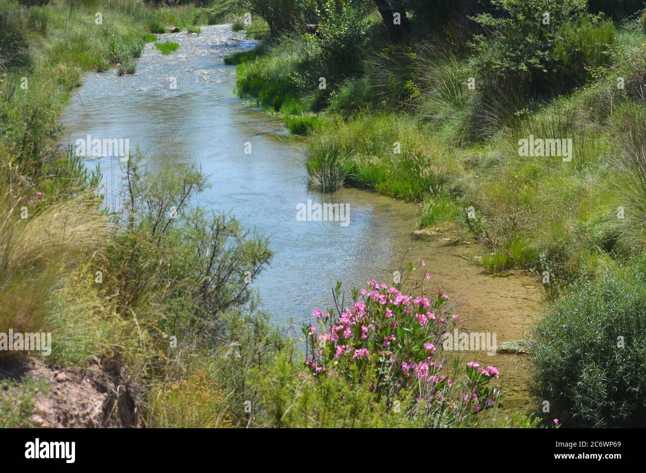 The Palancia river, an example of Mediterranean mountain river in ...