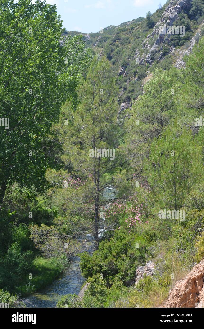 The Palancia river, an example of Mediterranean mountain river in ...