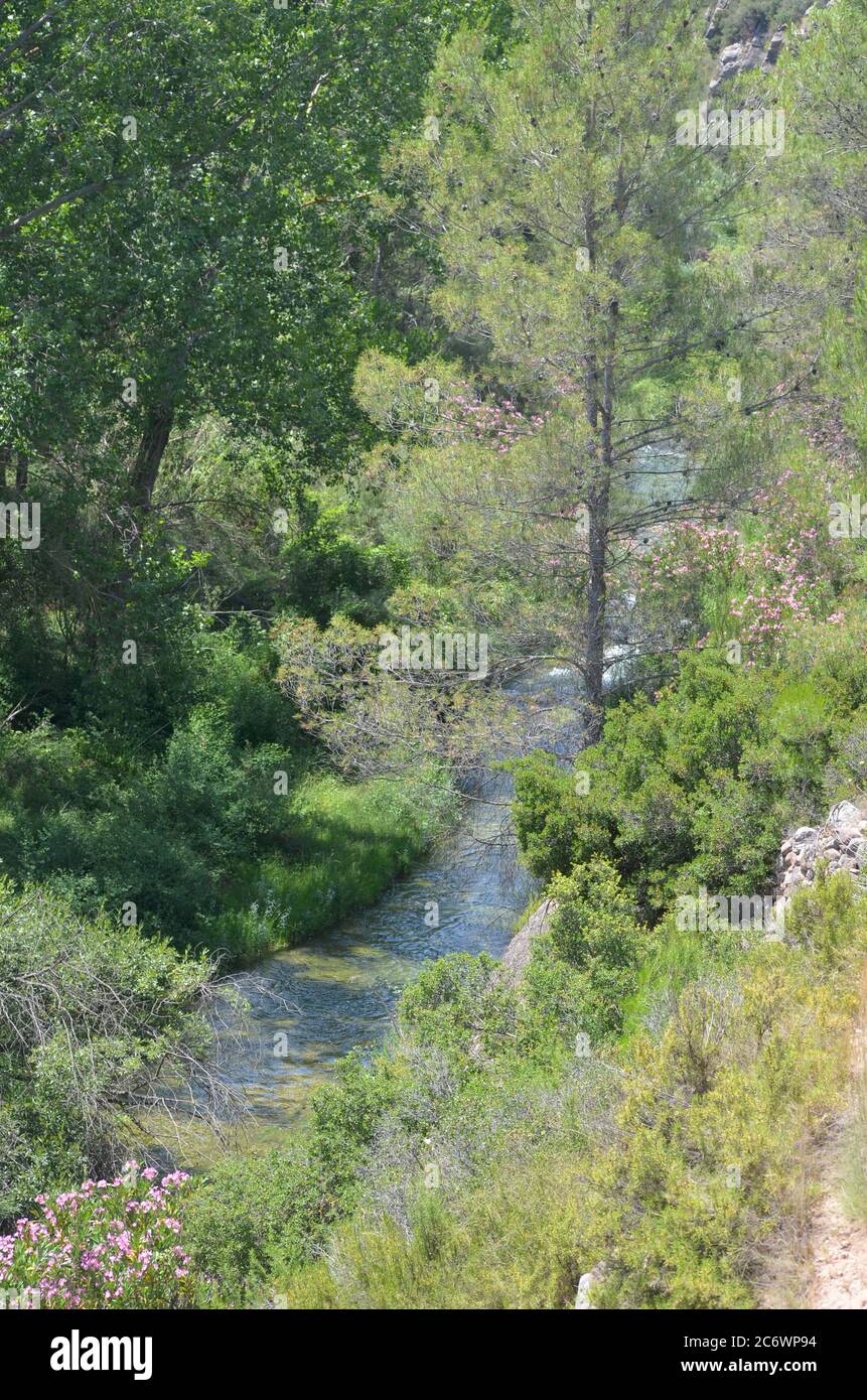 The Palancia river, an example of Mediterranean mountain river in ...