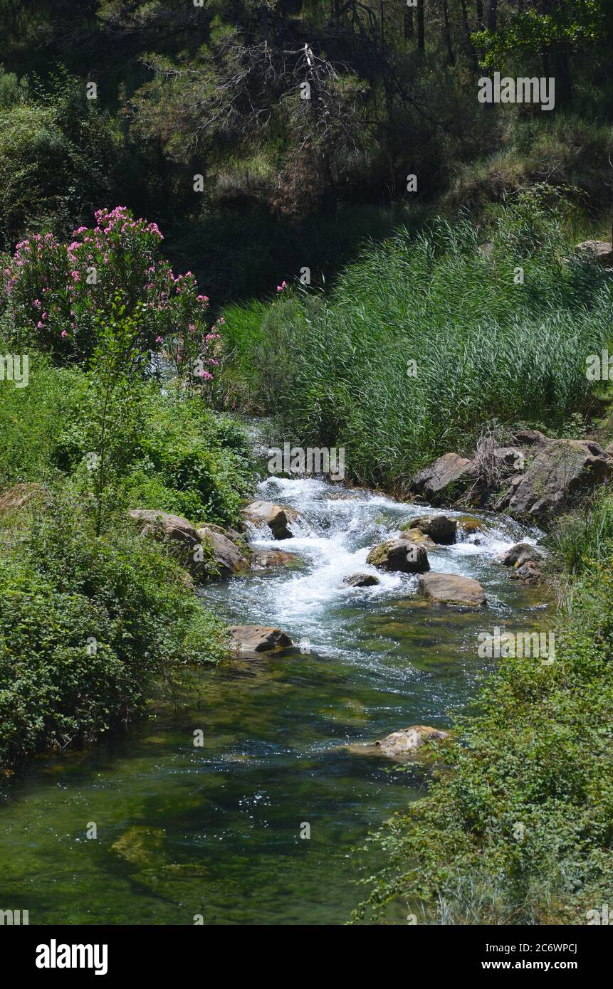 The Palancia river, an example of Mediterranean mountain river in ...