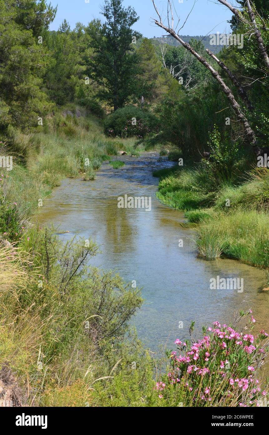 The Palancia river, an example of Mediterranean mountain river in ...
