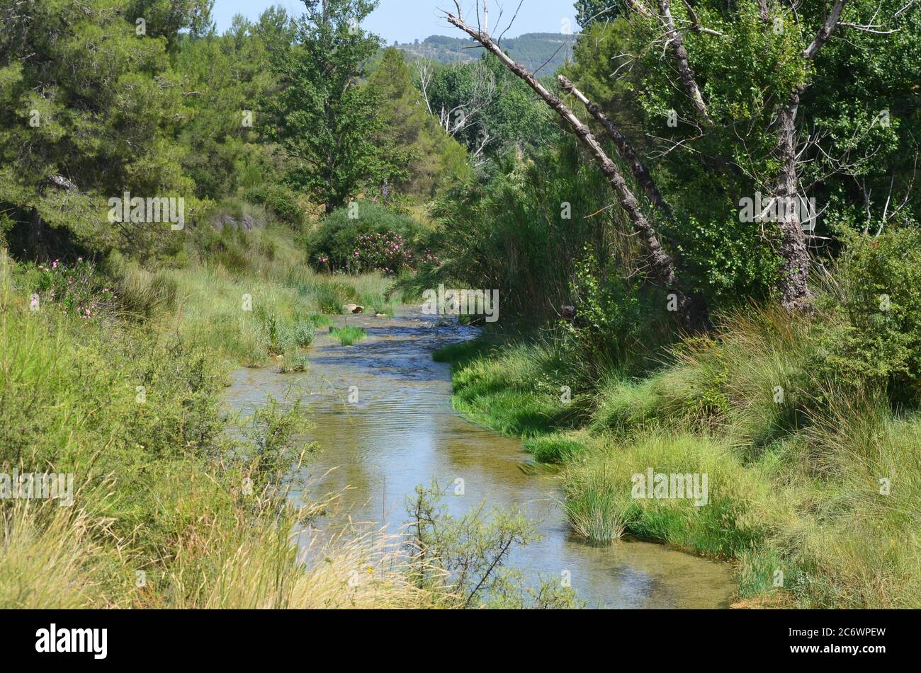 The Palancia river, an example of Mediterranean mountain river in ...