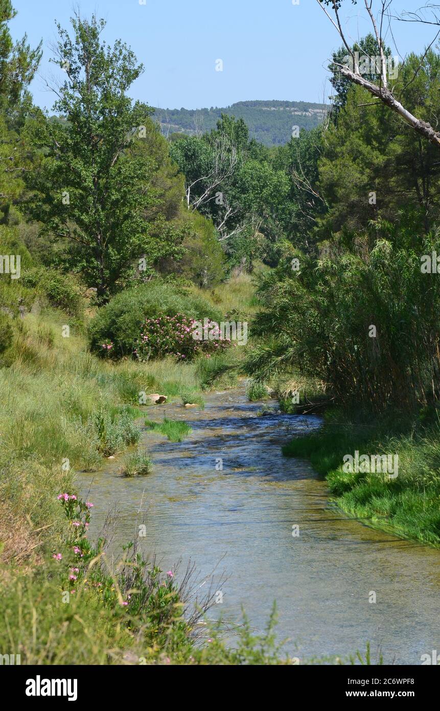 The Palancia river, an example of Mediterranean mountain river in ...