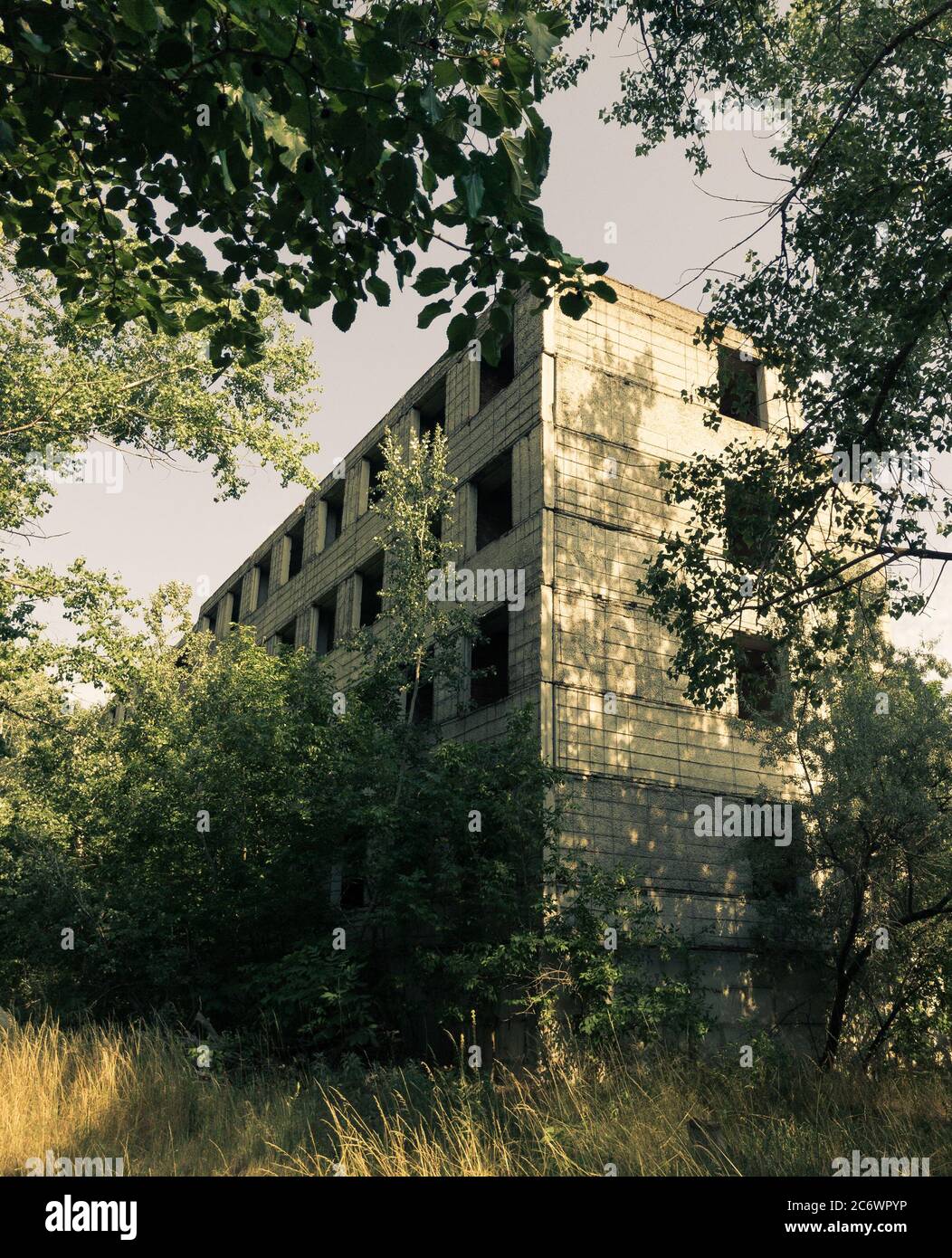 pictorial overgrown abandoned construction site Stock Photo - Alamy