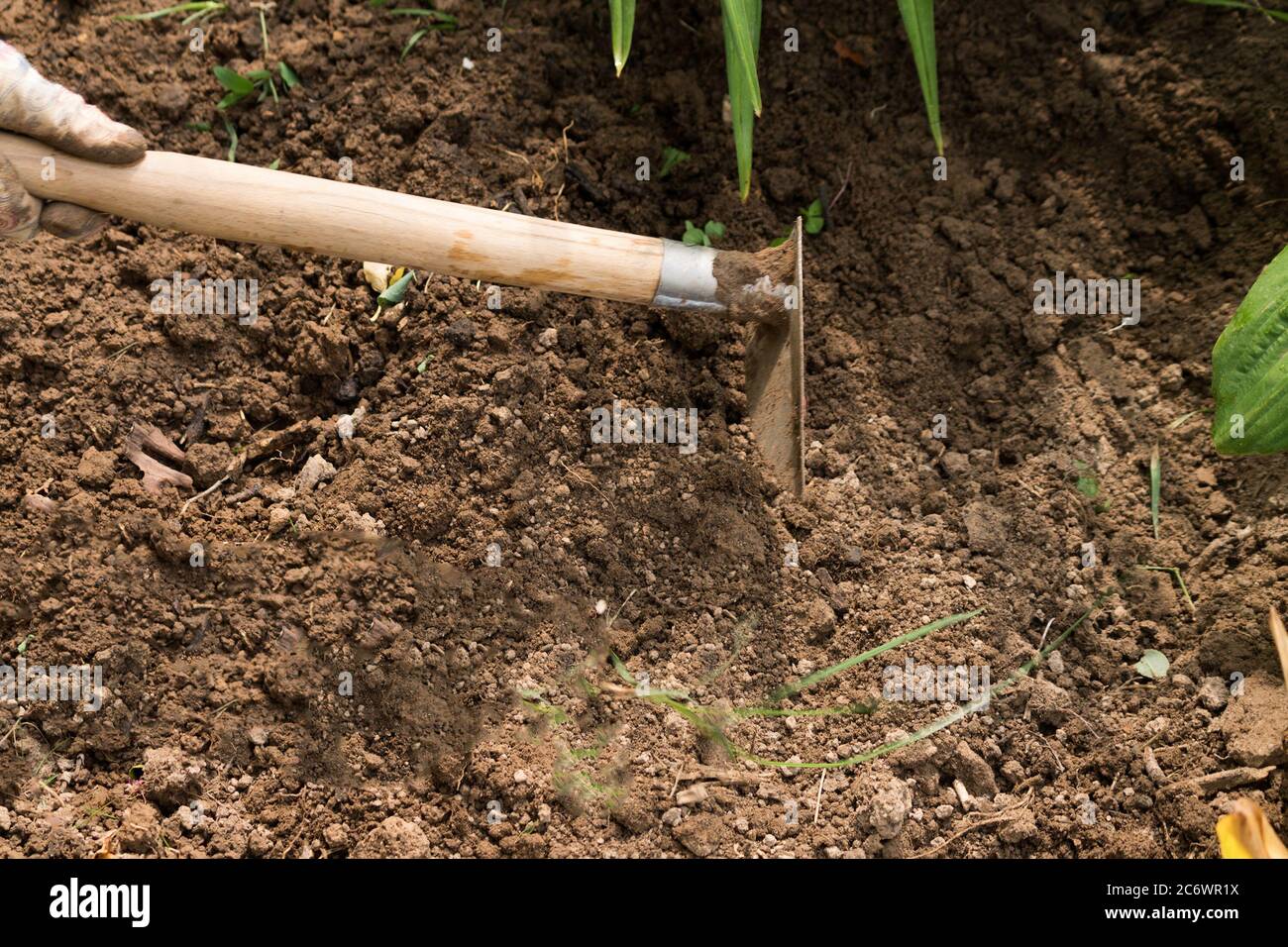 Farmer using hoe hand tool hi-res stock photography and images - Alamy