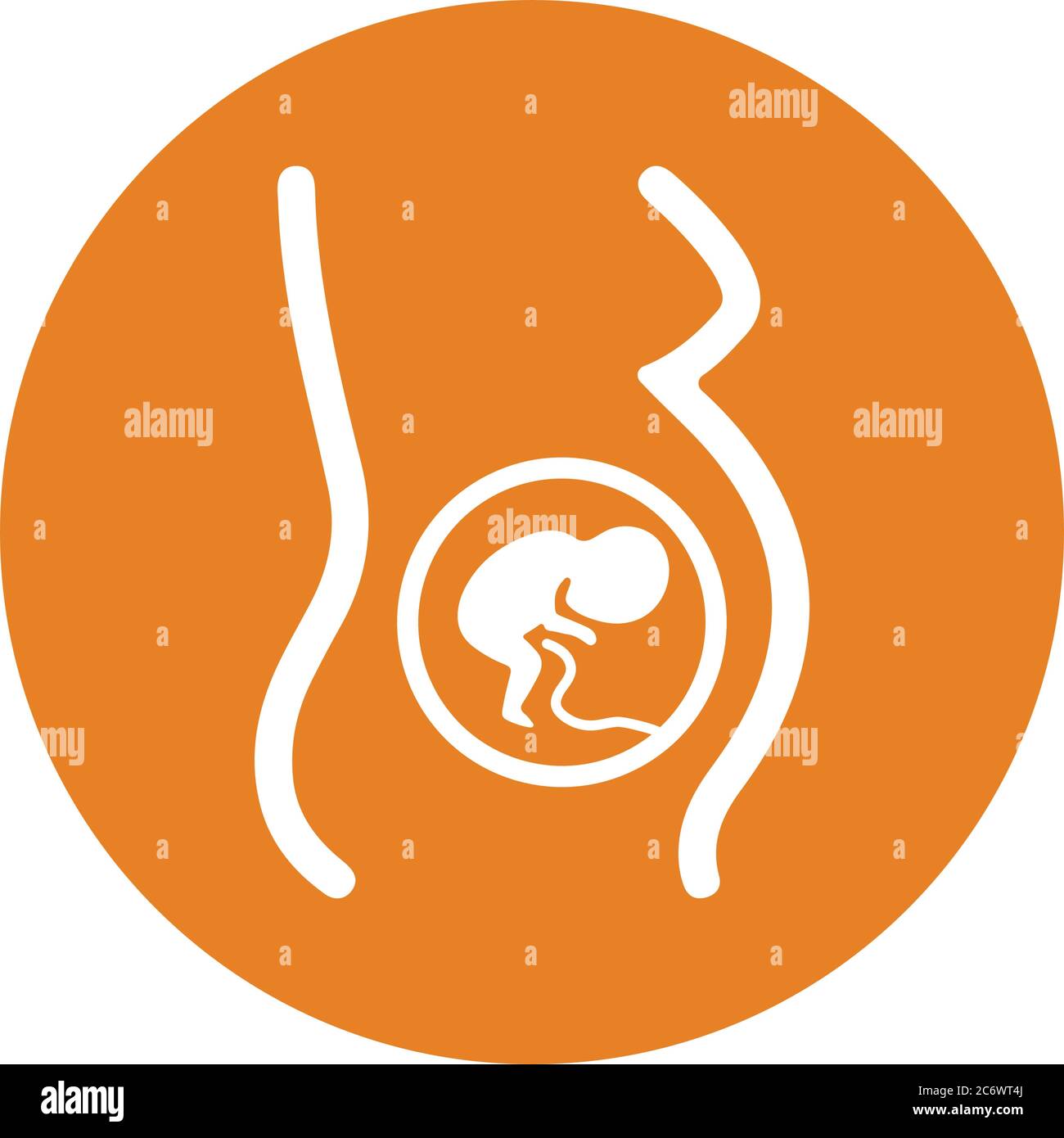 Fetal vector vectors hi-res stock photography and images - Alamy