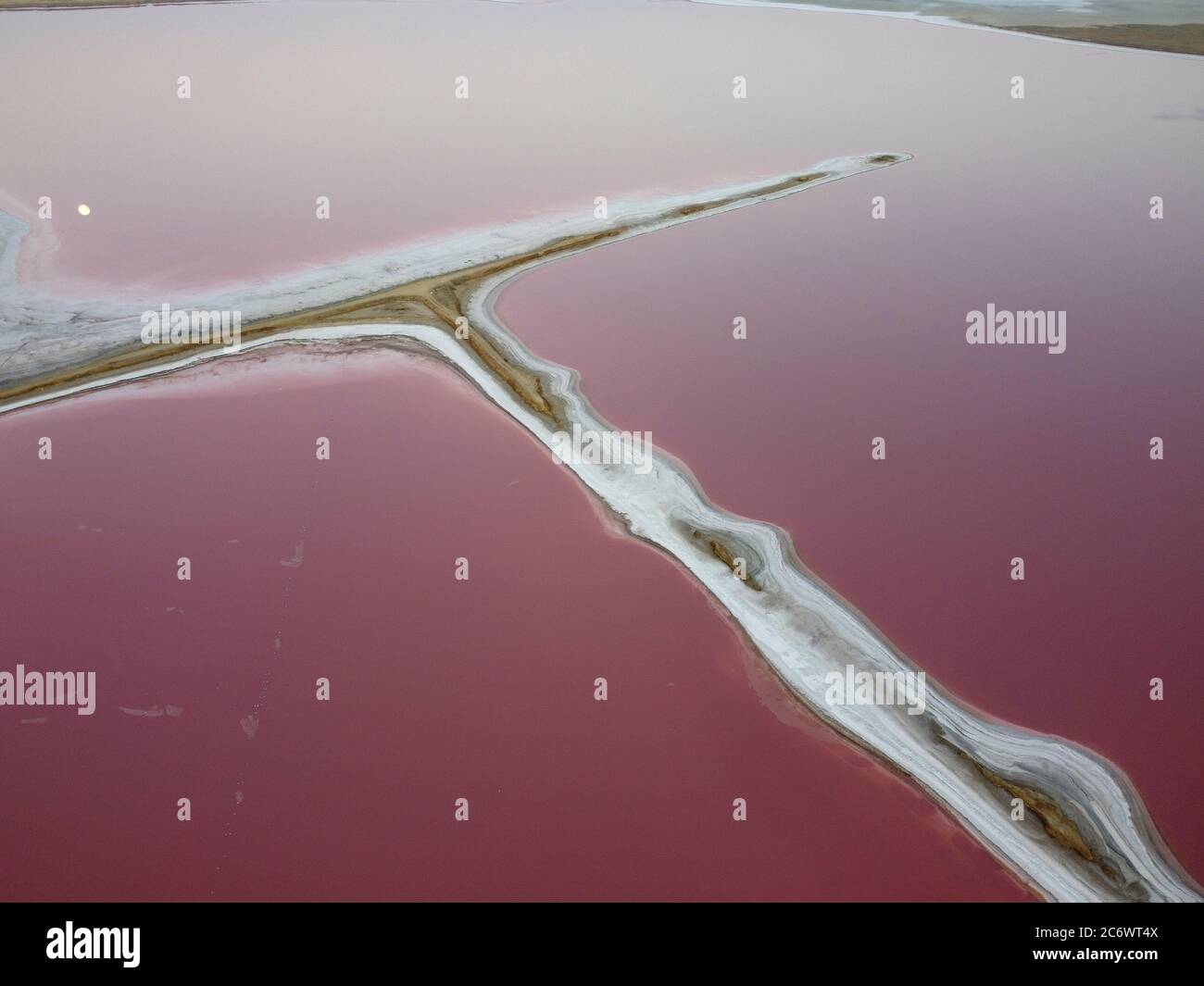 Pink lake in Mexico City, due to the high salt content develops algae ...
