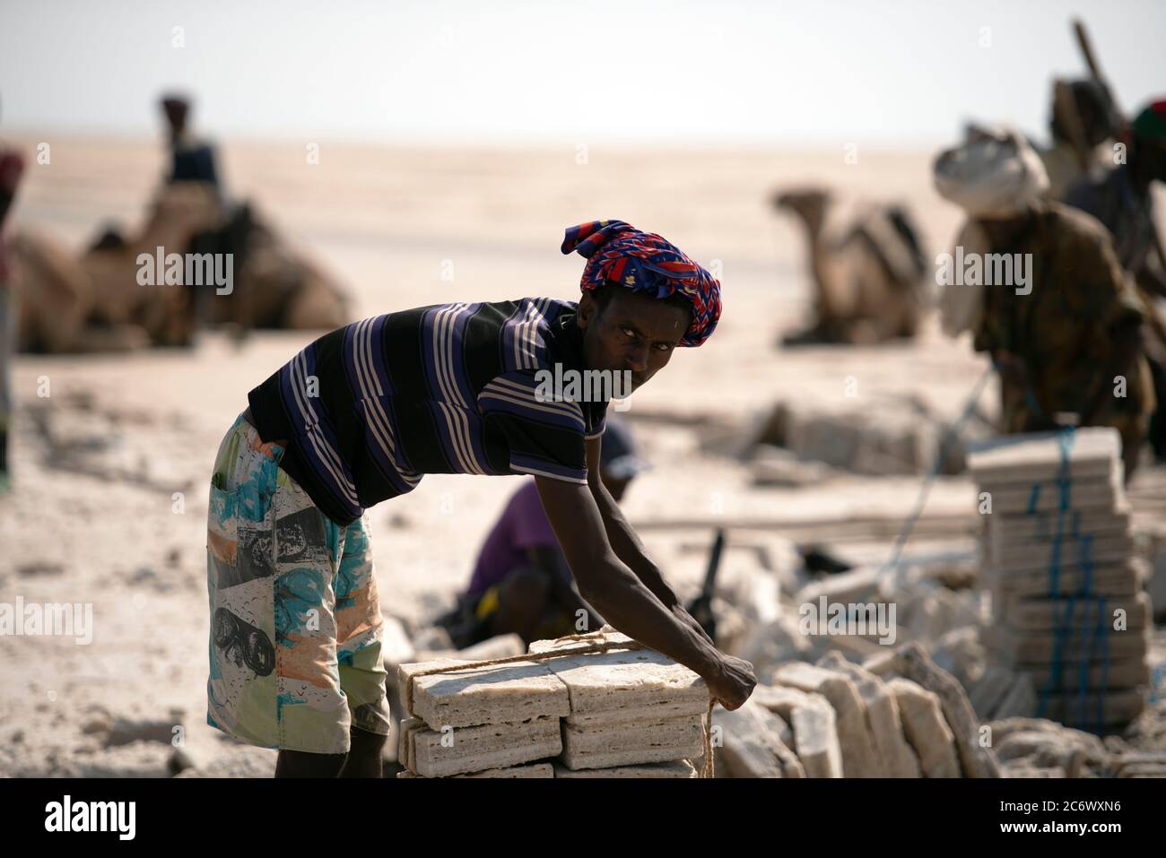 An Afar salt miner ties salt blocks to be taken by camel caravan to be ...