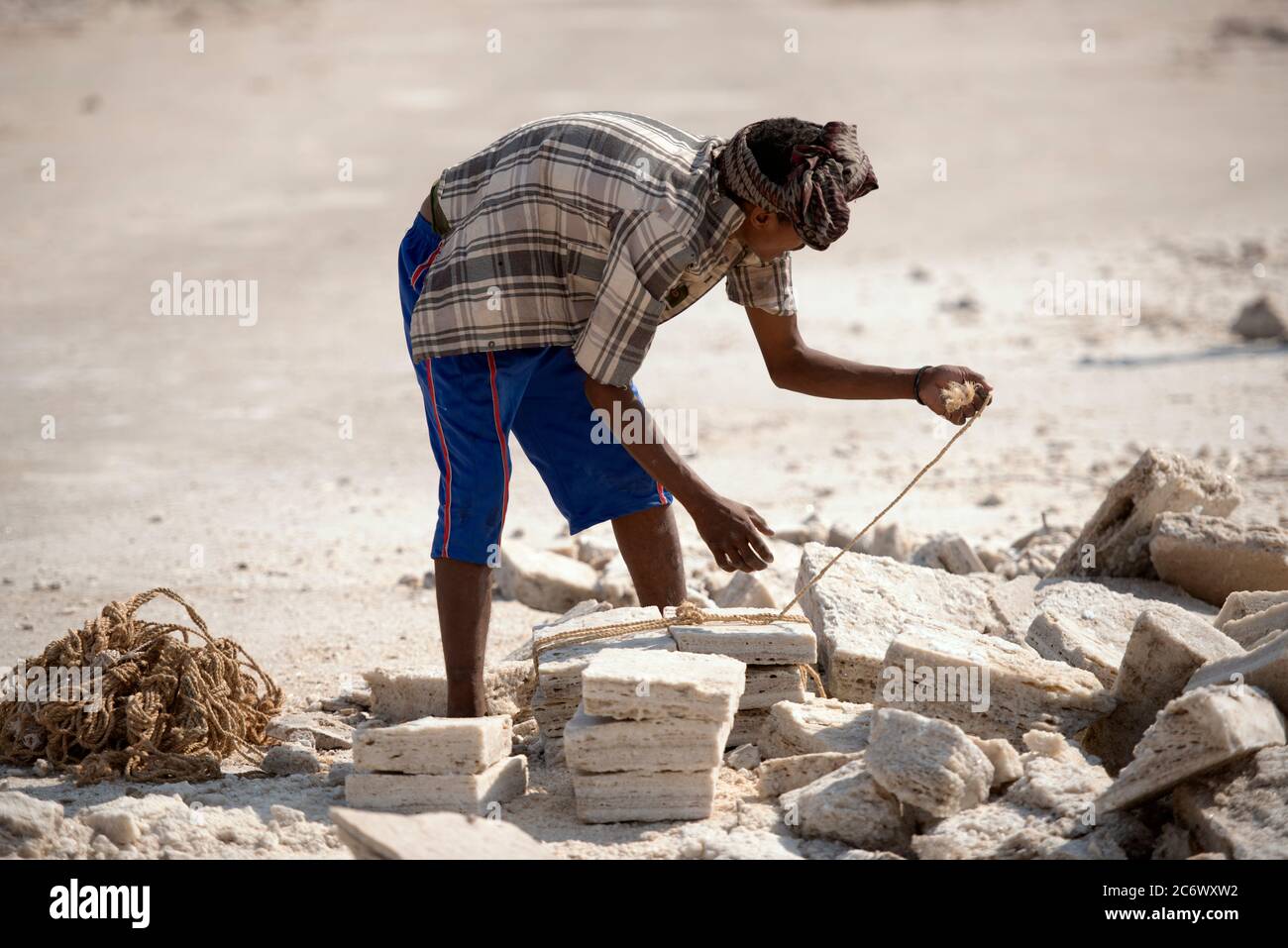 An Afar salt miner ties salt blocks to be taken by camel caravan to be ...