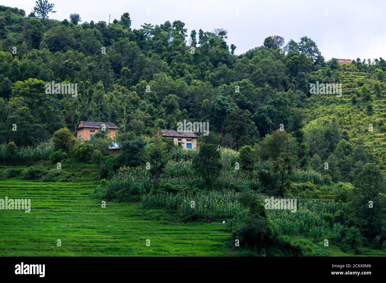 Beautiful landscape of nepali farm field and houses Stock Photo - Alamy