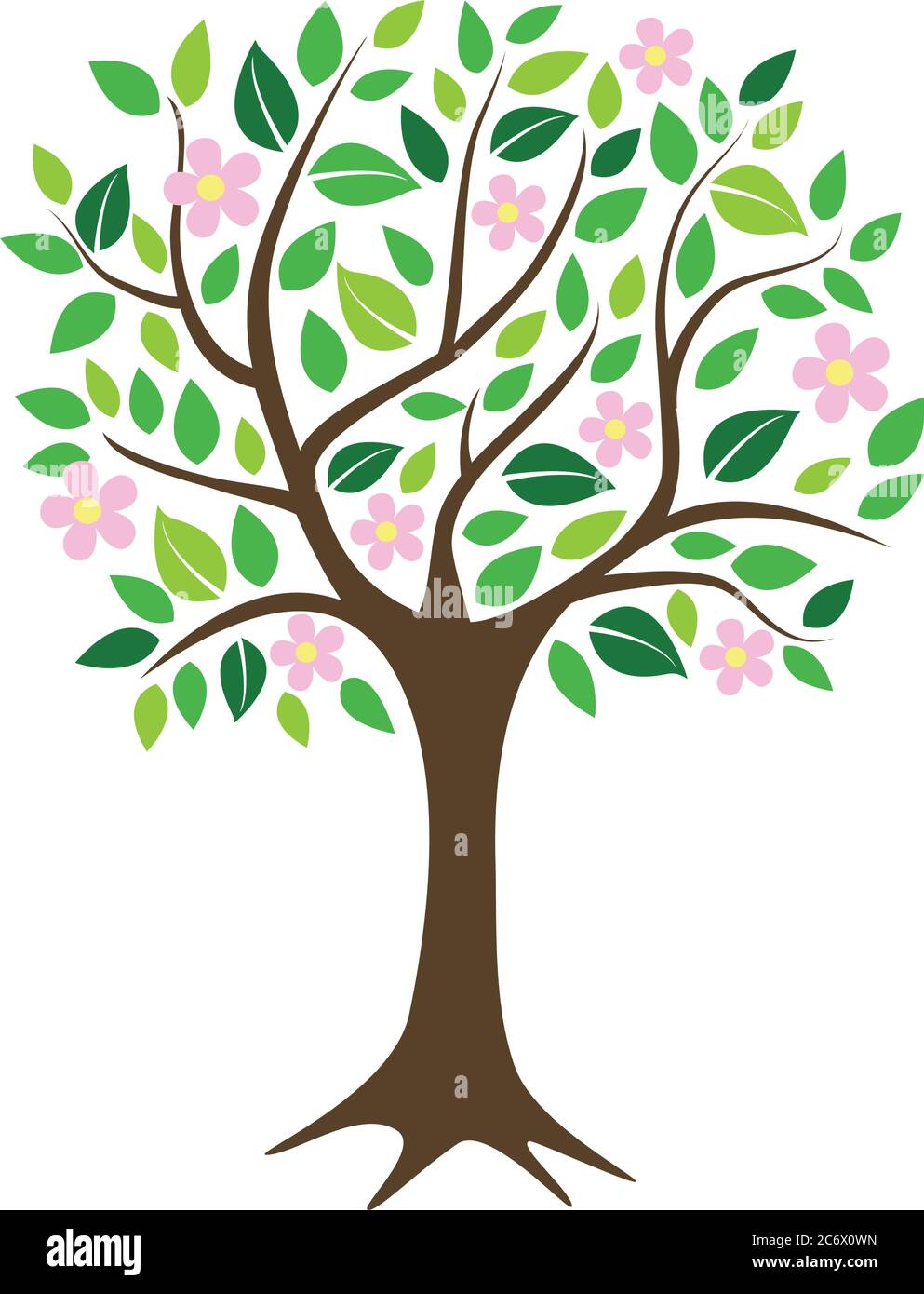 Blossoming cherry or apple tree with flowers and lush green leaves ...