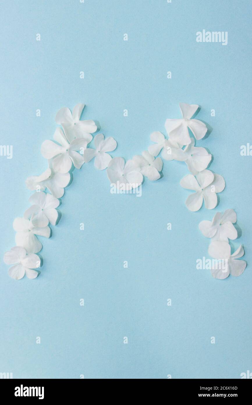 Flower Alphabet - M. Letter made from live flowers on light blue ...