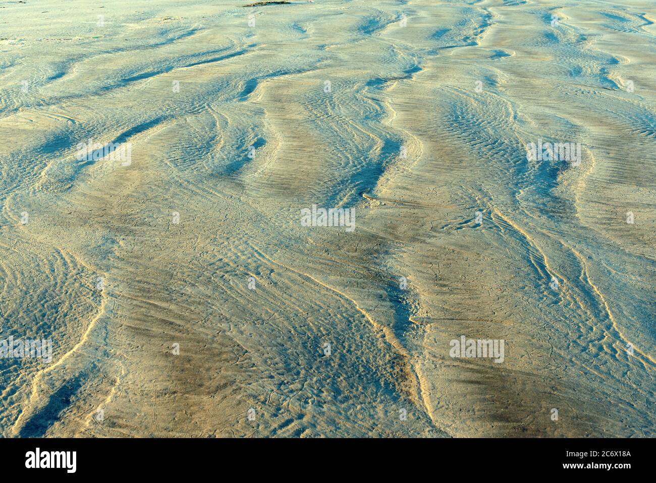 Sand patterns on the beach of the Pacific Ocean in Bayshore, Oregon ...