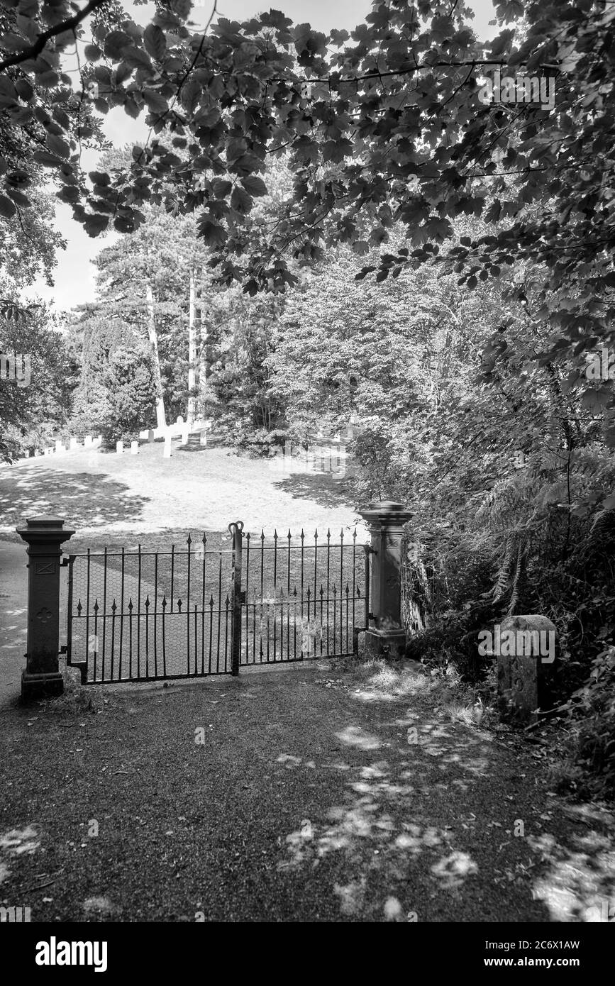 Netley military cemetery hi-res stock photography and images - Alamy