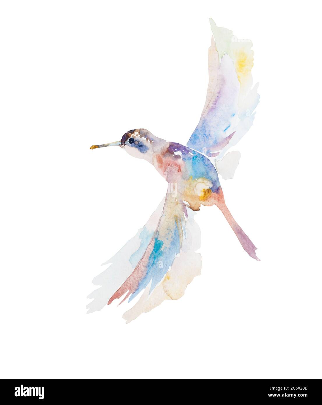 Watercolor Birds Flying