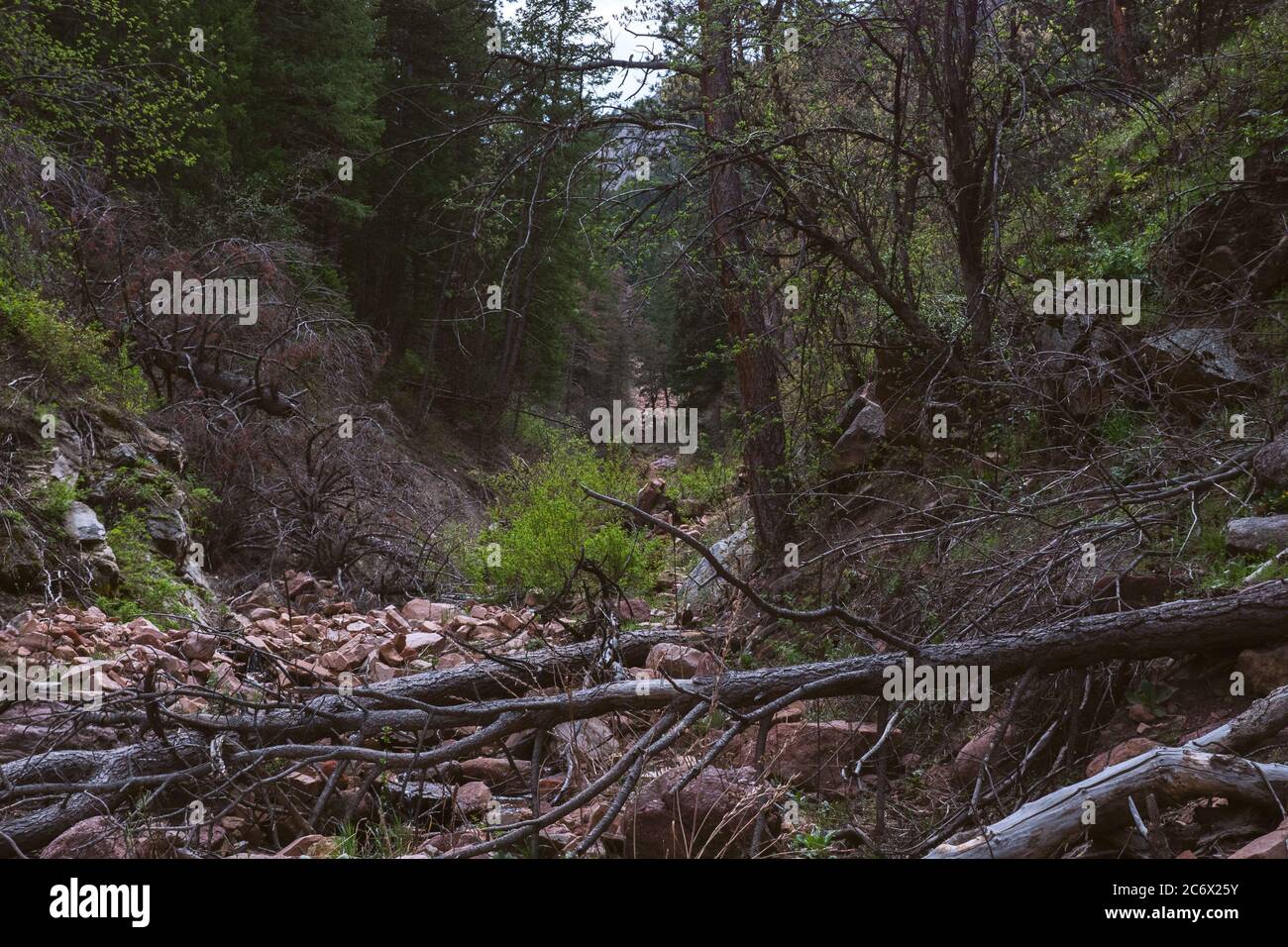 Road in front of boulder hi-res stock photography and images - Alamy
