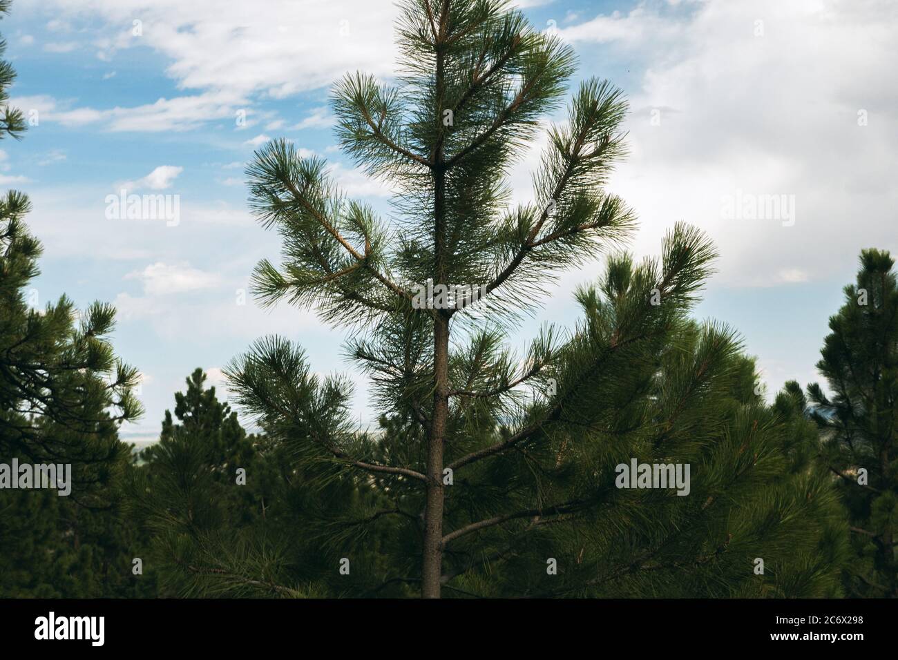 Tall boulder hi-res stock photography and images - Alamy