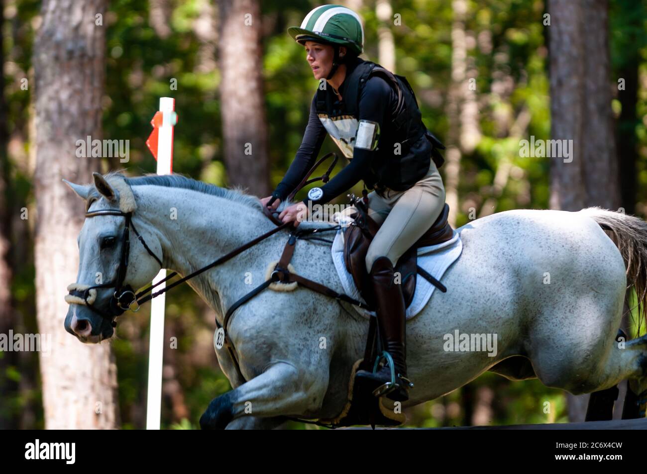 Sarah branch hi-res stock photography and images - Alamy