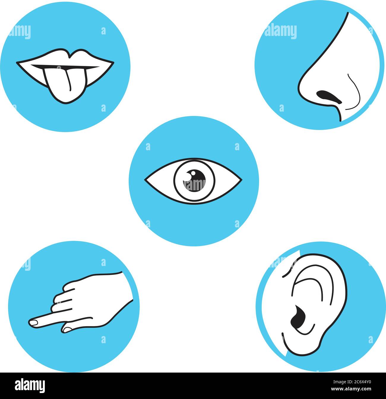 Five Senses Smell And Taste