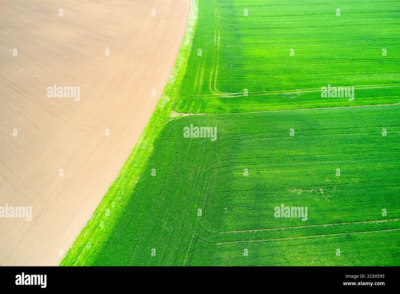 Aerial view on a field with bright green grass. Natural texture Stock ...