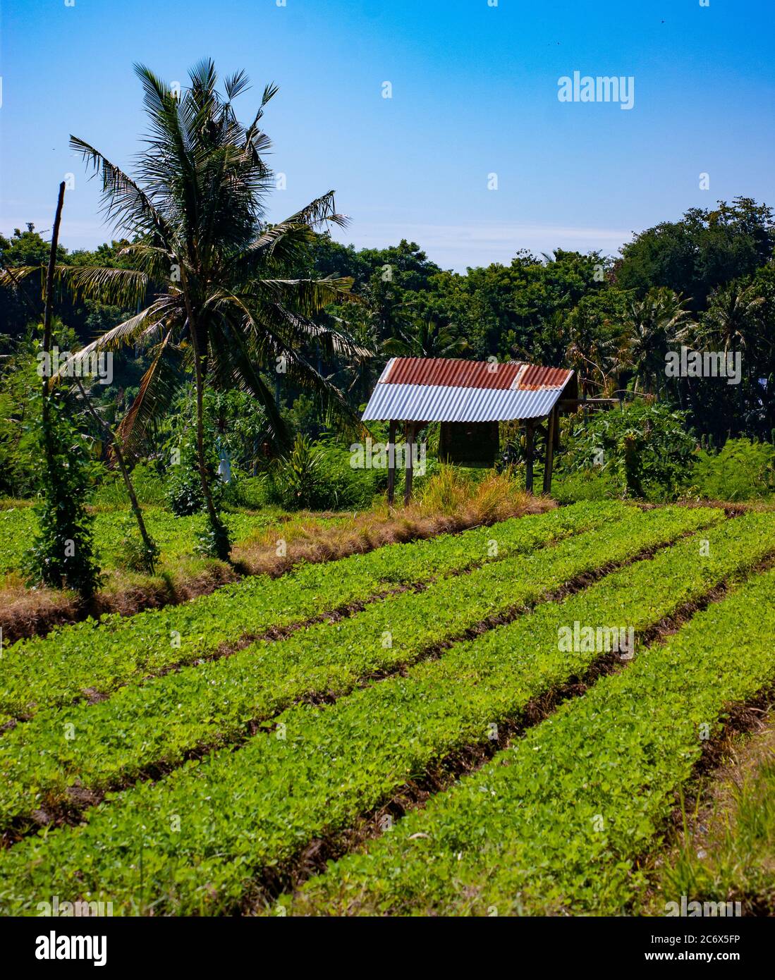 Indonesian patterns hi-res stock photography and images - Alamy