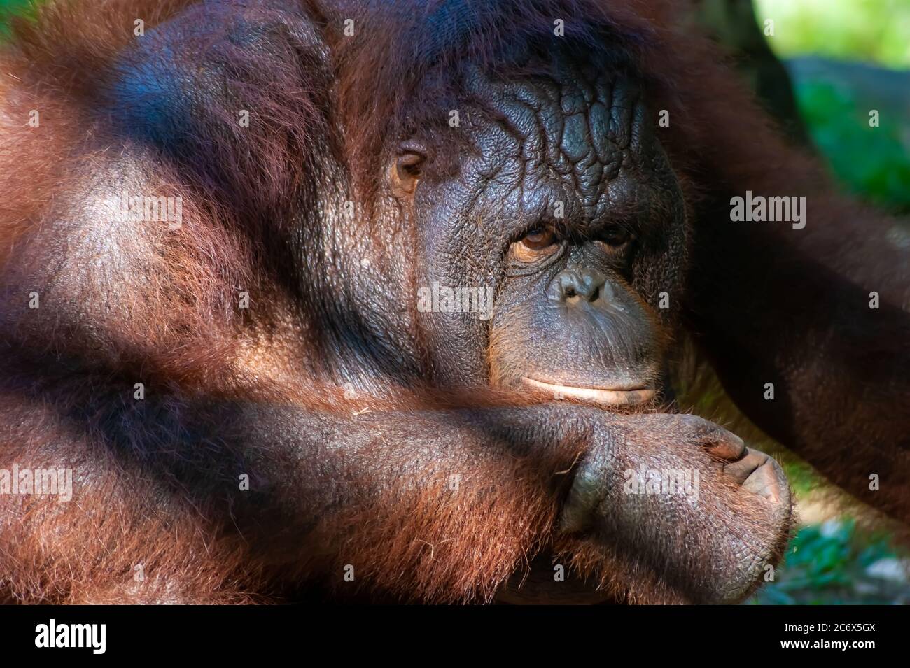 Painting Acrylic Art & Collectibles The sun sulks etna.com.pe