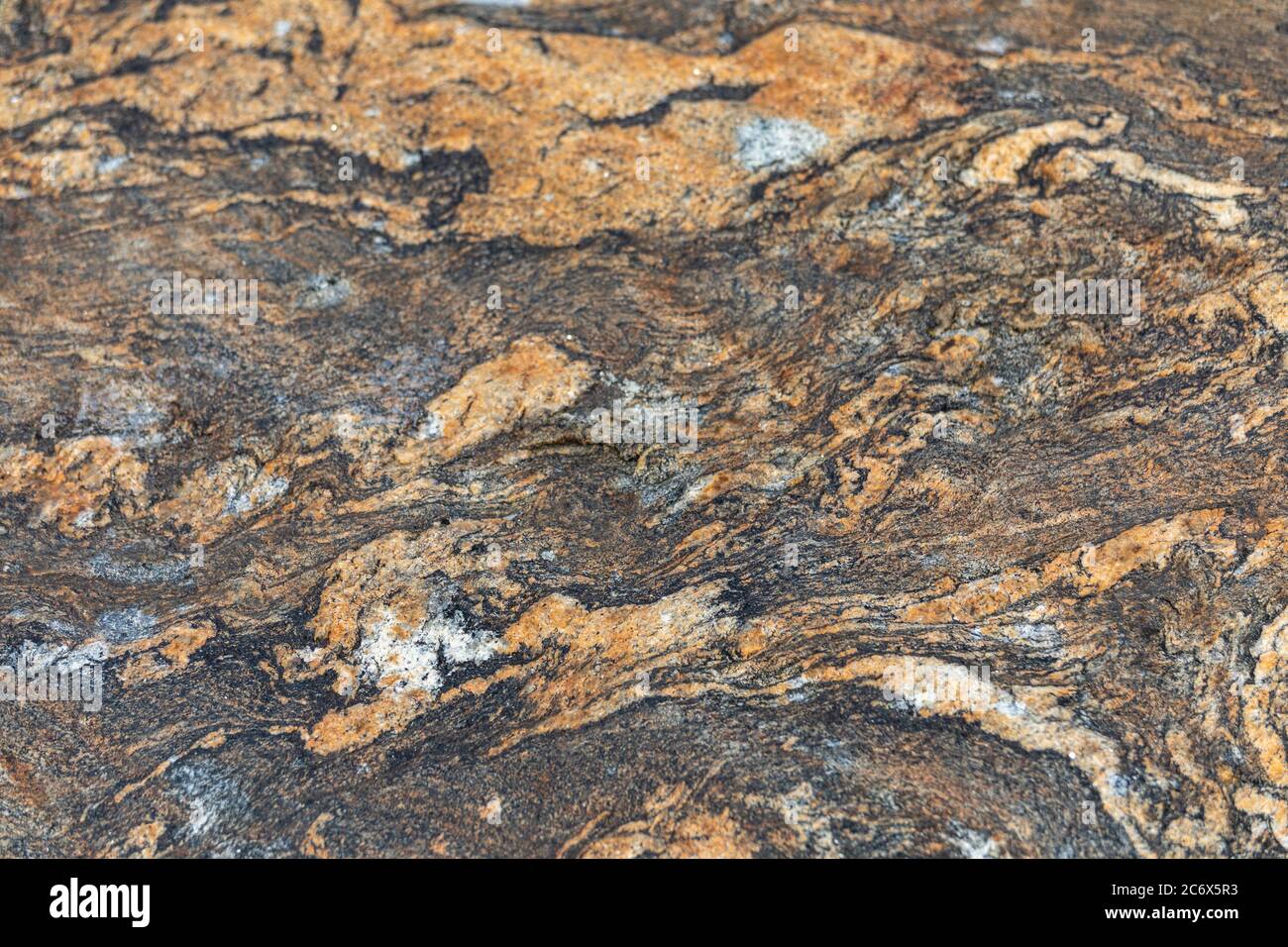 Migmatite Rock