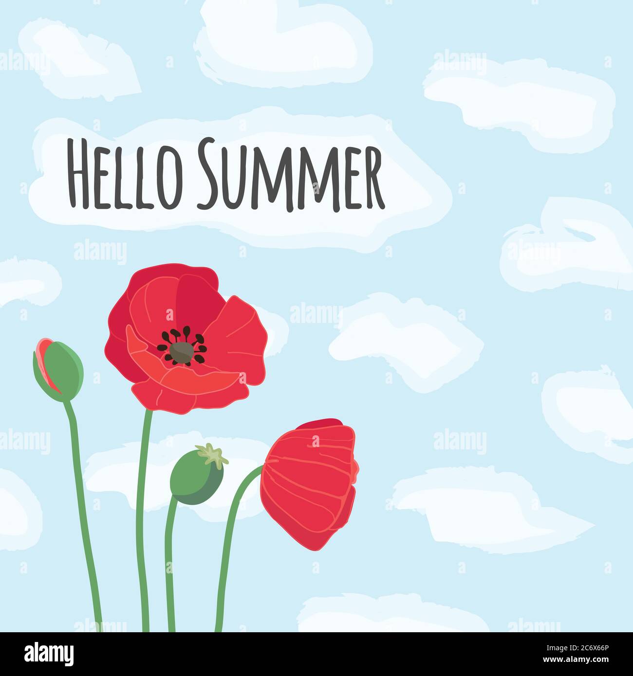 Hello summer text with cute colorful red field poppy flowers on Stock ...