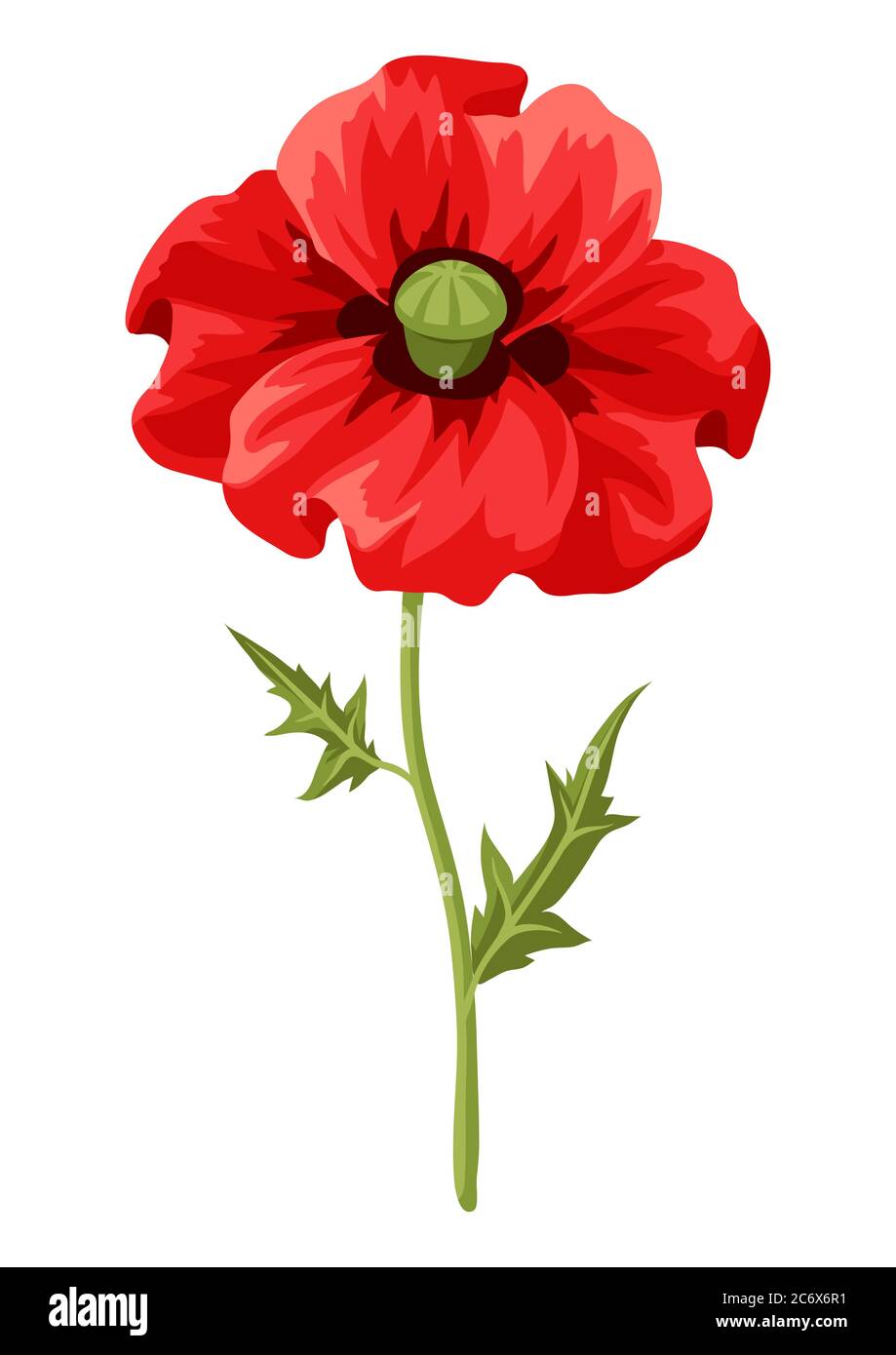 Illustration of realistic poppy. Beautiful flower Stock Vector Image ...