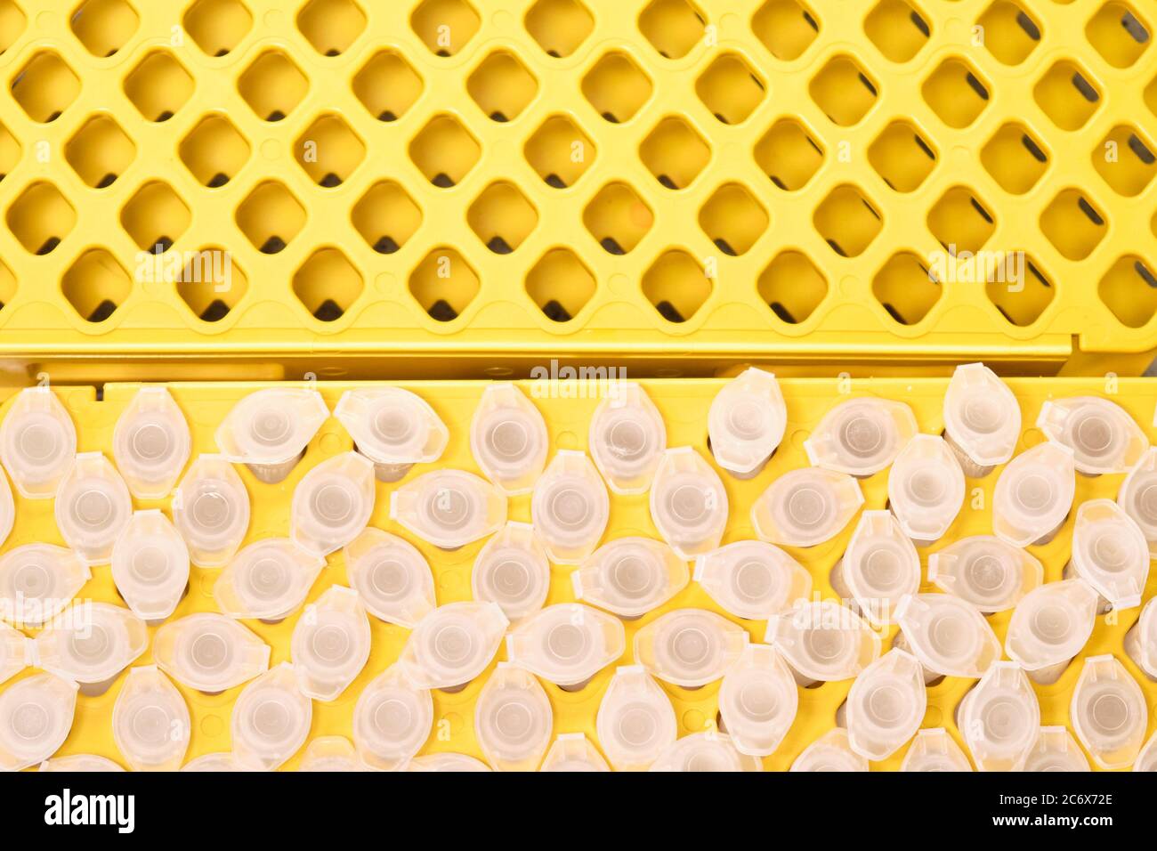 Small plastic test tubes in a rack. Microbiology of chemical analysis ...