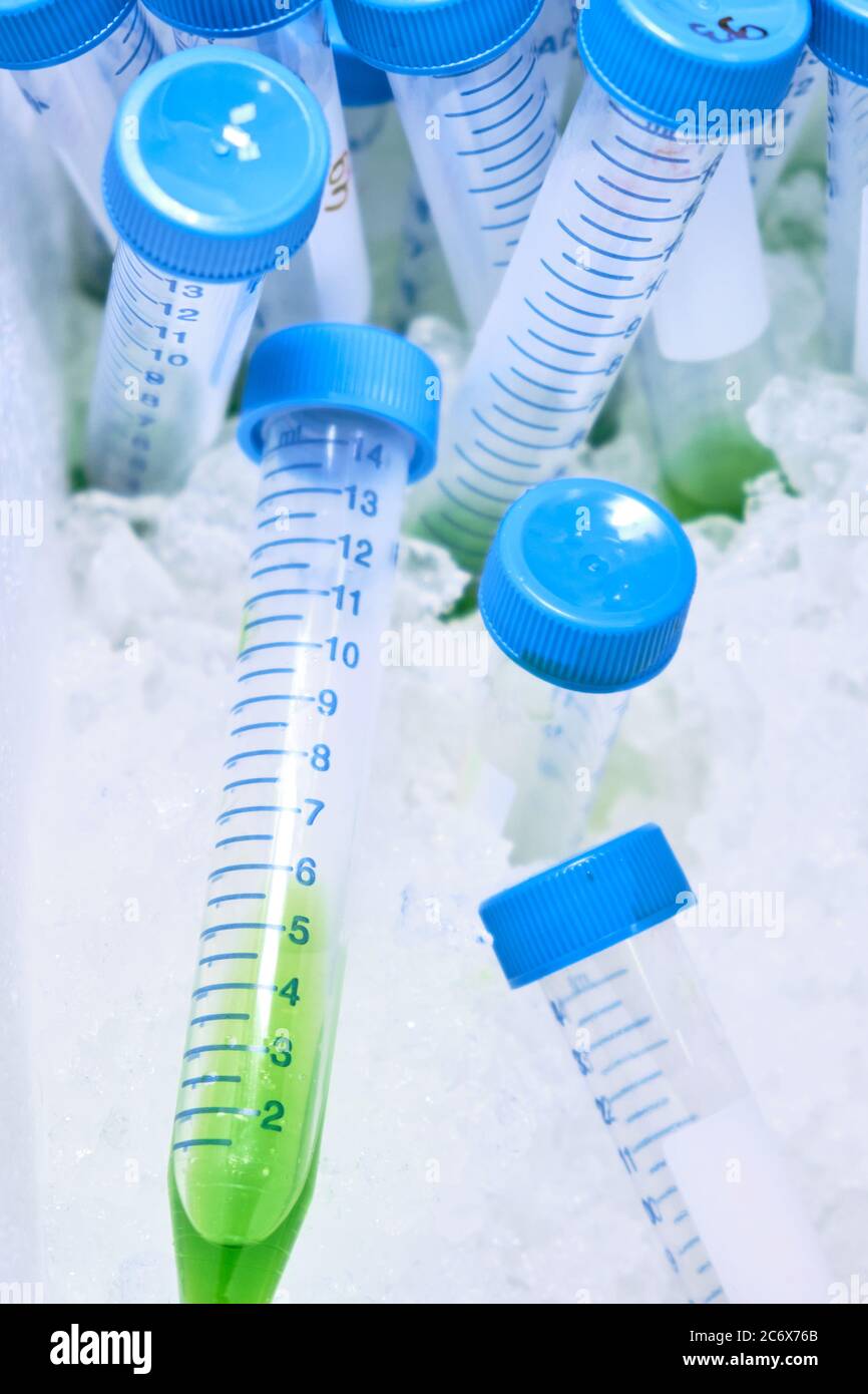 Assay scientific procedure hi-res stock photography and images - Alamy