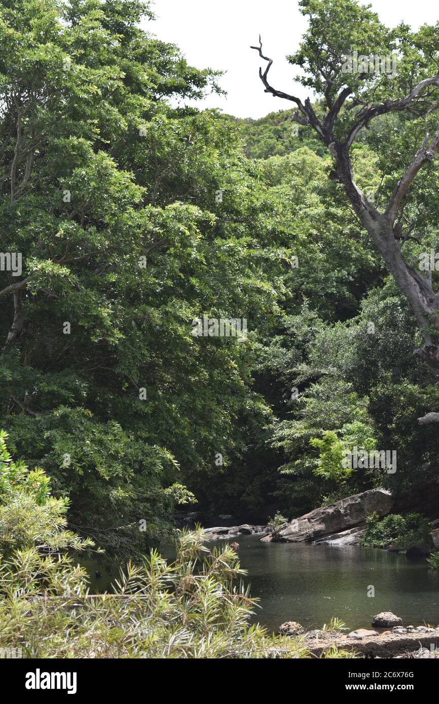 The Riverston Peak located in the central hills of Sri Lanka can be ...