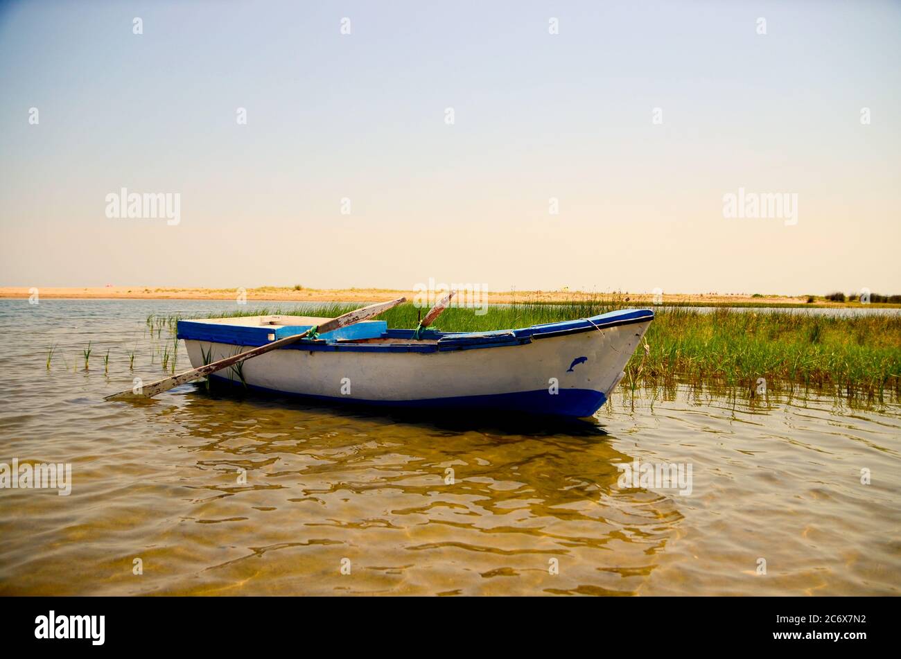 a blue and white boat in the water Stock Photo - Alamy