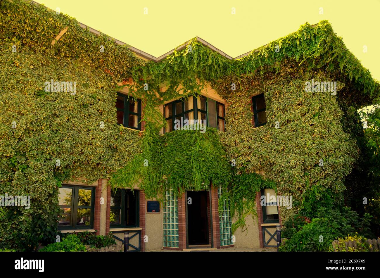Vine covering building exterior hi-res stock photography and images - Alamy
