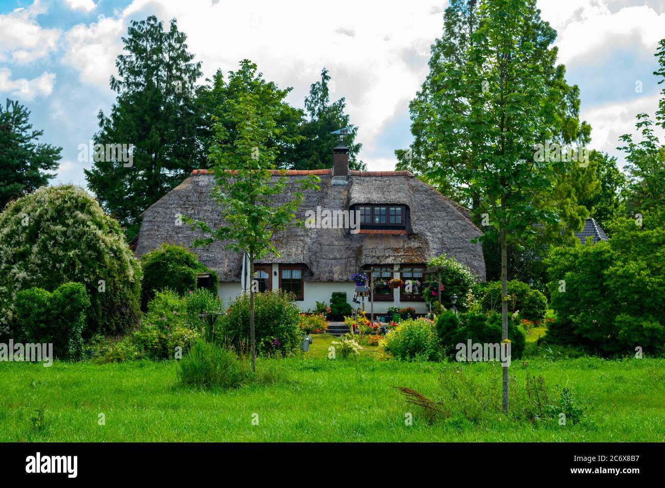 Summer landscape with farm house and green garden in Gelderland ...