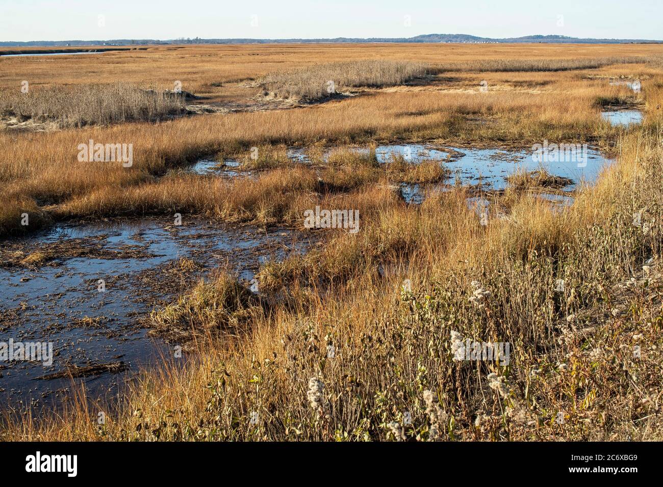 Plum Island is a barrier island off the northeast coast of ...