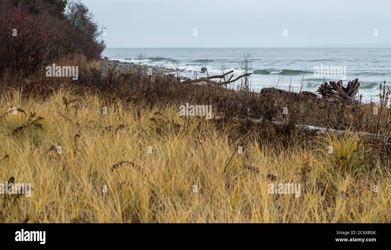 Plum Island is a barrier island located off the northeast coast of ...