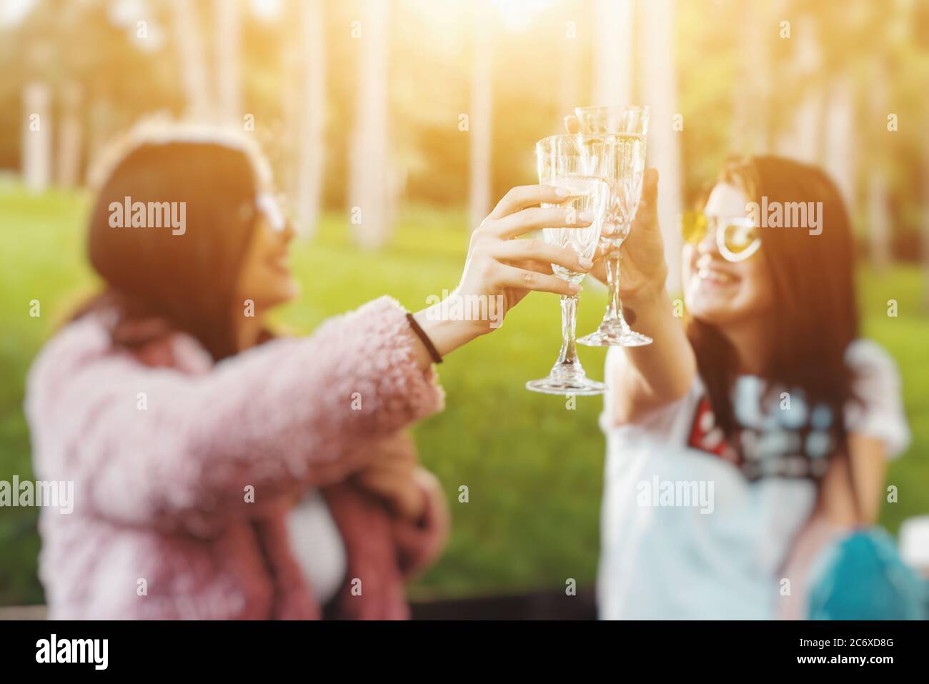 Two young women toasting with drinks in park Stock Photo - Alamy