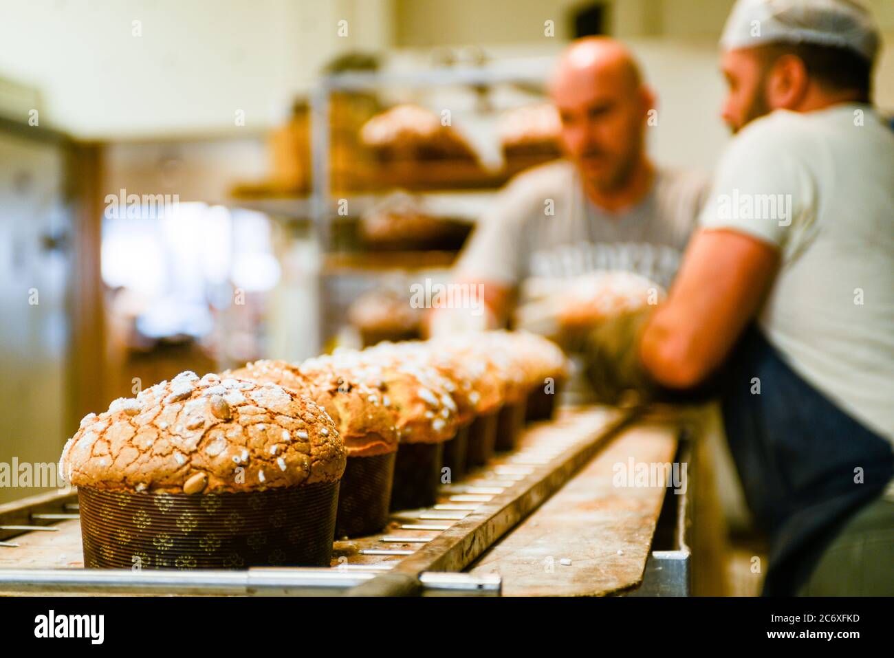 Pastry chef preparing baking italian christmas sweet cake in bakery ...