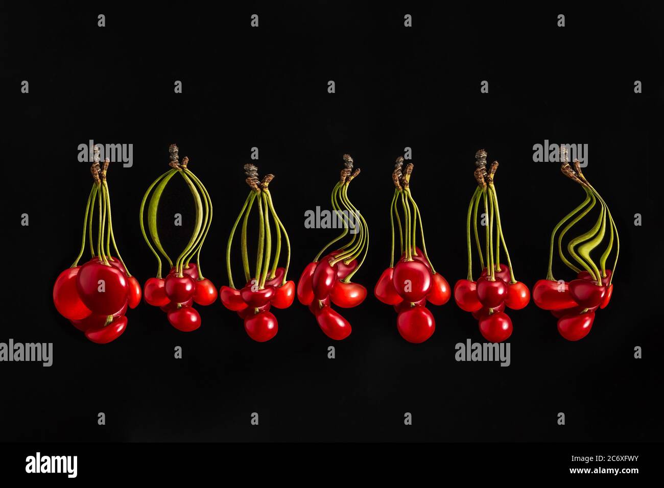 Red beautiful cherries embracing their different kinds of body types ...